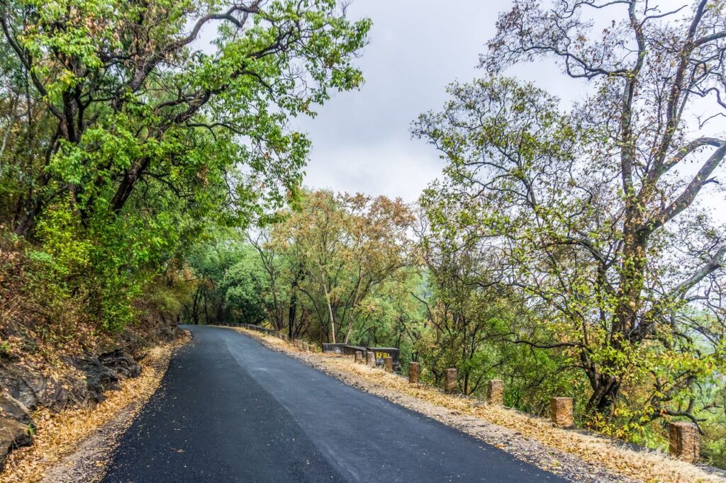 Trekking a las Cataratas Thoovanam en el Santuario de Vida Silvestre de ...